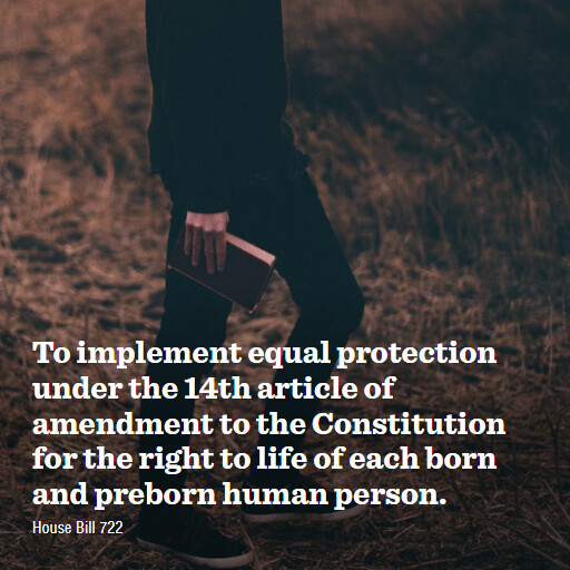 H.R. 722 - 119th Congress (2025-2026) - Life at Conception Act - Bill ...