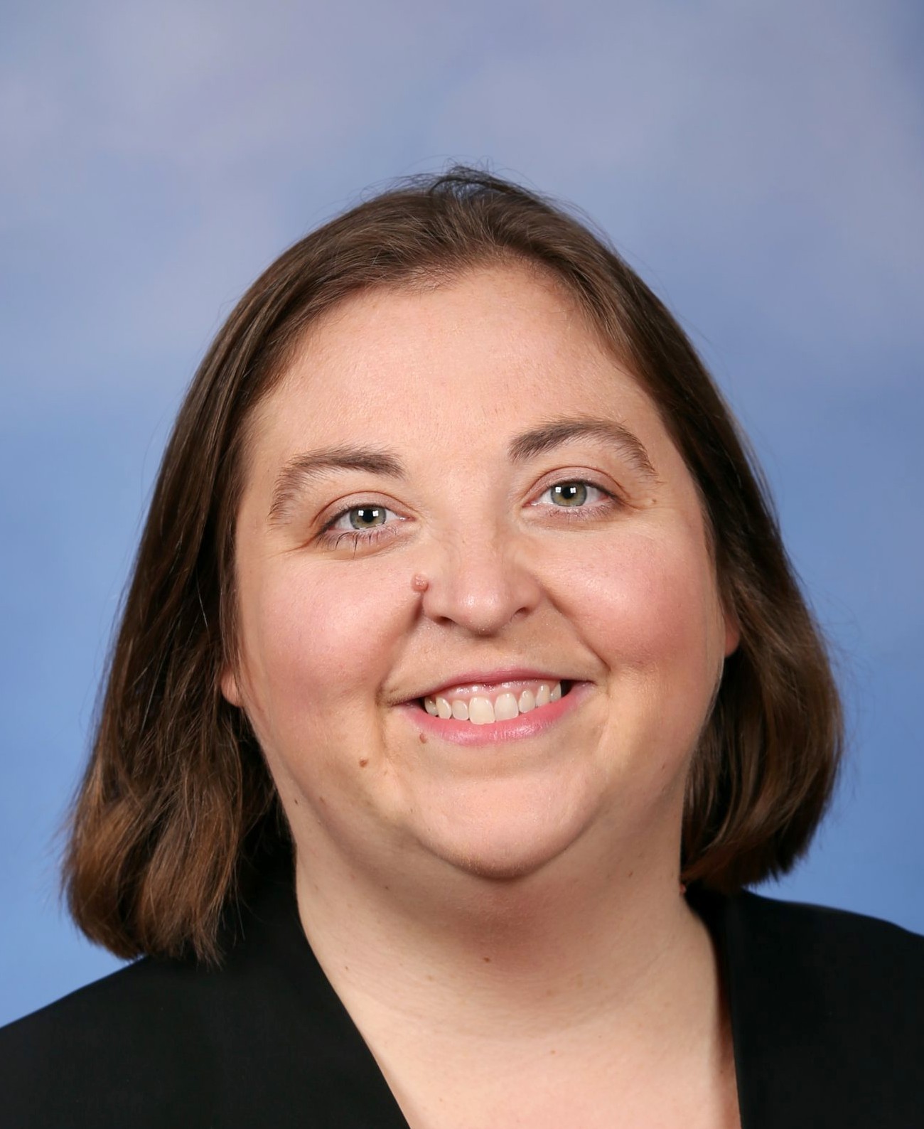 Lori Stone - Michigan Democrat (Former) - Bill Sponsor