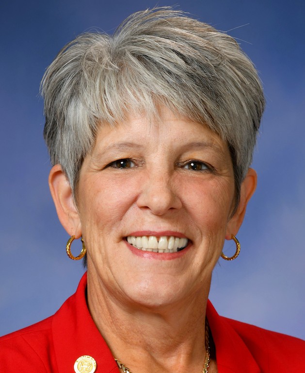 Sue Allor - Michigan Republican (Former) - Bill Sponsor