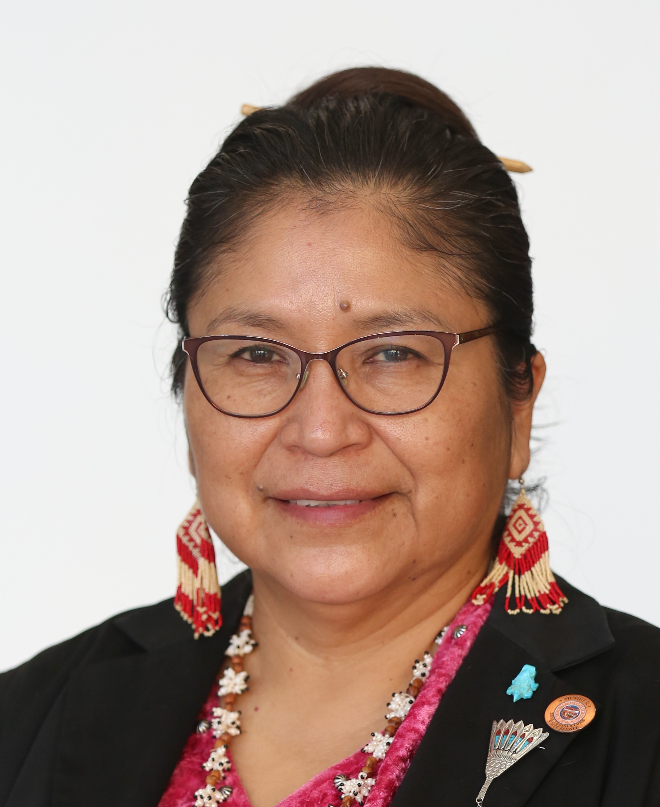 Theresa Hatathlie - Arizona Senator Democrat - Bill Sponsor